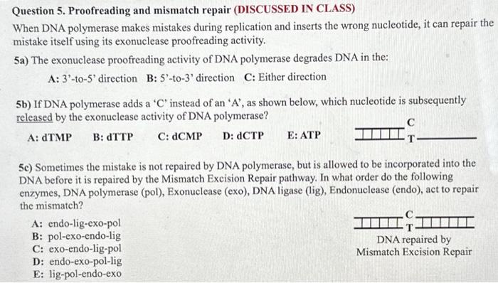 Solved Question 5. Proofreading and mismatch repair | Chegg.com