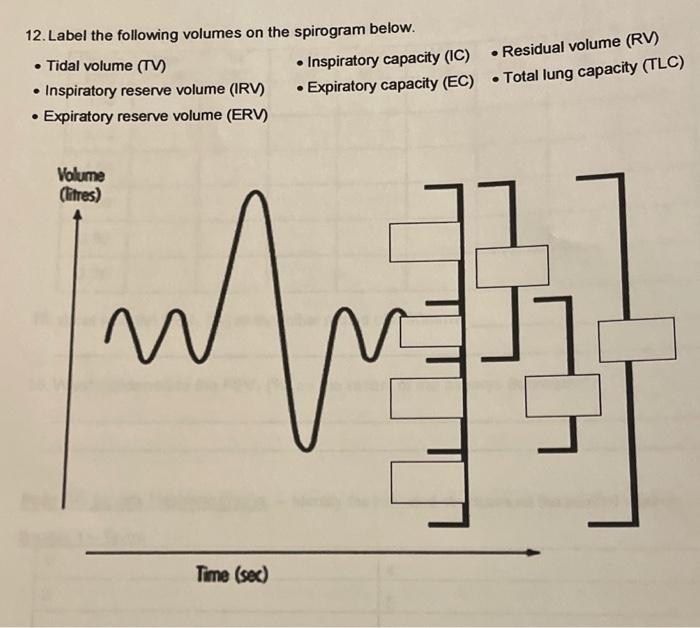 Solved 12. Label the following volumes on the spirogram | Chegg.com