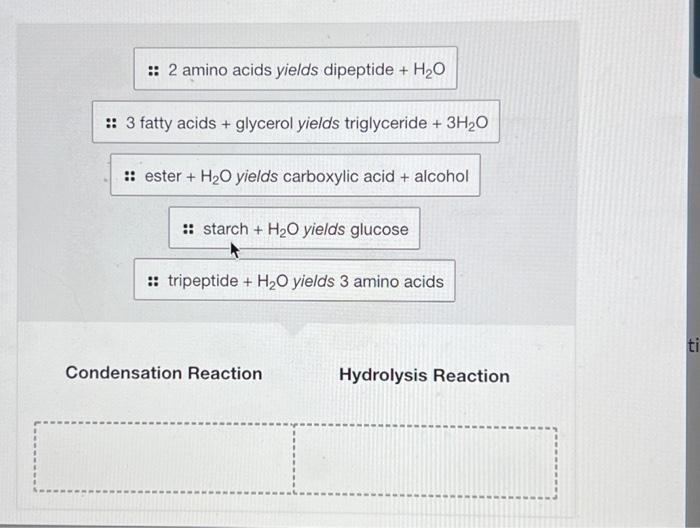 Solved Categorize each reactic as a condensation or | Chegg.com
