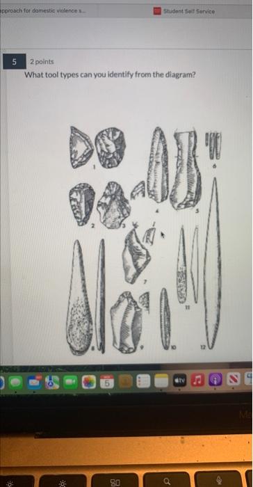 2 points What tool types can you identify from the | Chegg.com