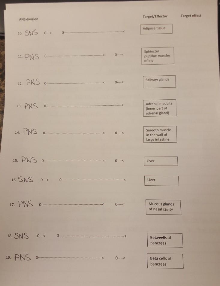 Solved For each of the following scenarios: 1. State the | Chegg.com