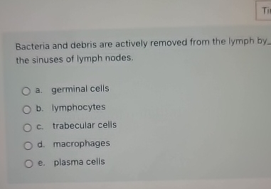 Solved Bacteria and debris are actively removed from the | Chegg.com