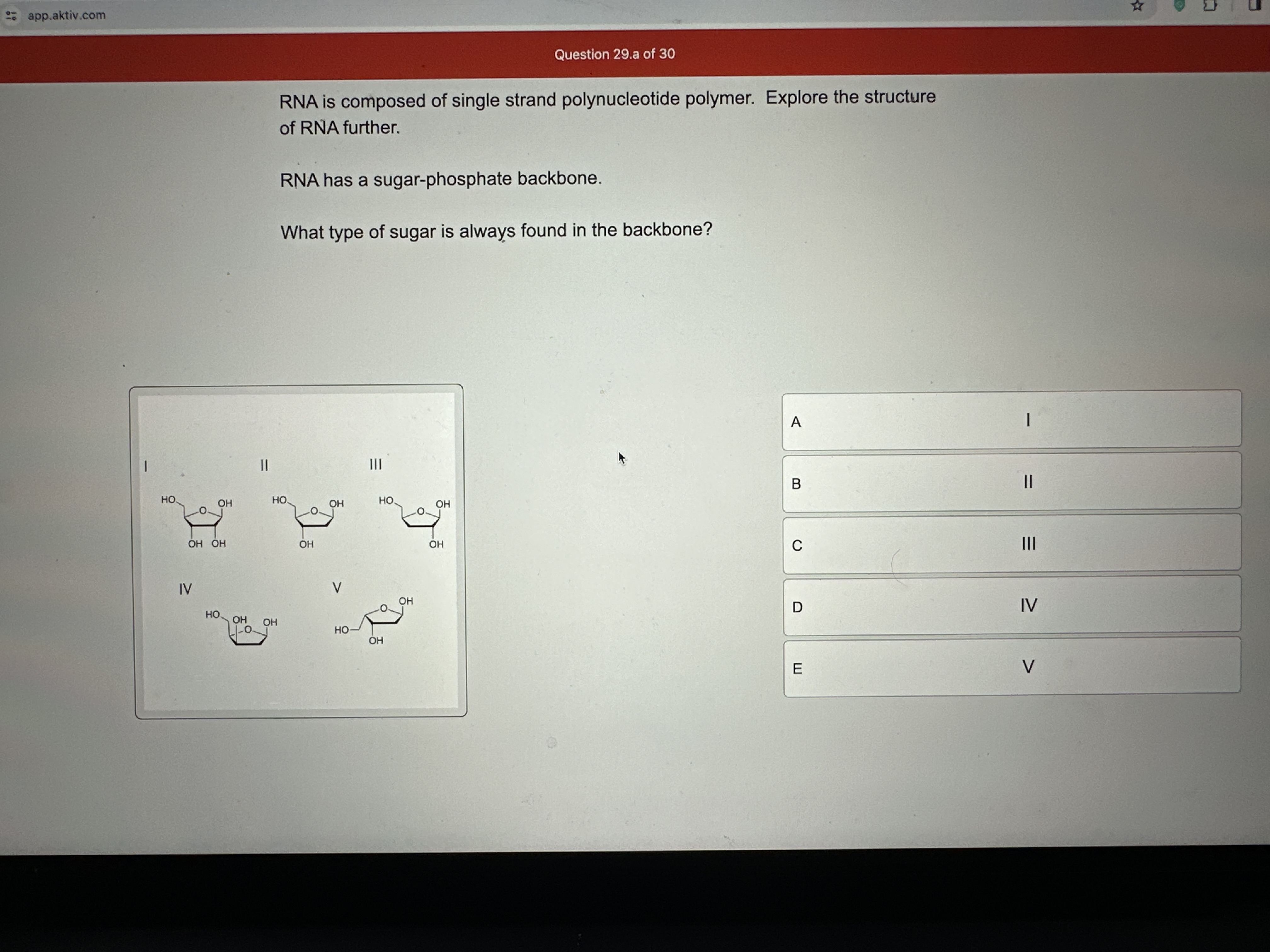 Solved RNA is composed of single strand polynucleotide | Chegg.com