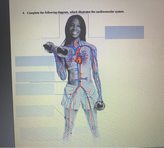 Solved 4. Complete the following diagram, which illustrates | Chegg.com