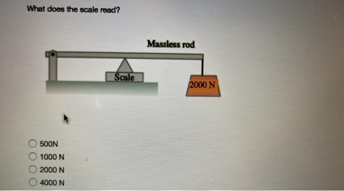 Solved What does the scale read? Massless rod Scale 2000 N | Chegg.com