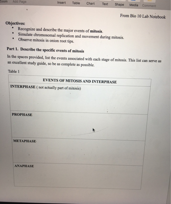 Solved Zoom Add Page Insert Table Chart Text Shape Media | Chegg.com