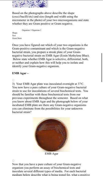 Solved Laboratory Exercise 13: Bacterial Isolation and | Chegg.com
