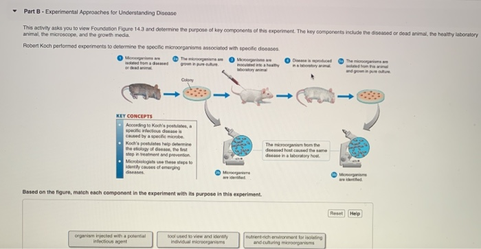 Solved Based on the figure, match each component in the | Chegg.com
