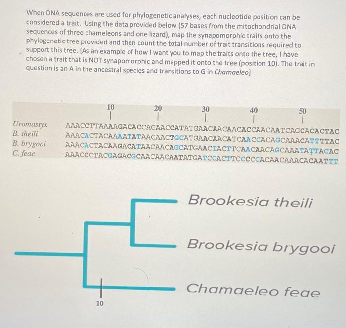Solved When DNA sequences are used for phylogenetic | Chegg.com