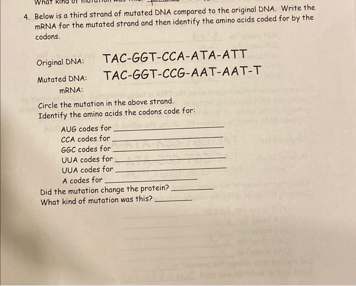 Solved 4. Below is a third strand of mutated DNA compared to | Chegg.com