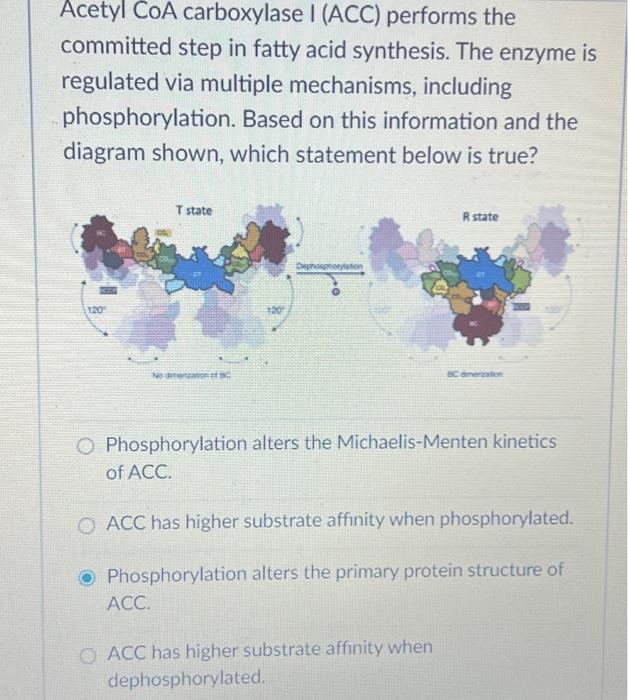 Solved Acetyl CoA carboxylase I (ACC) performs the committed | Chegg.com