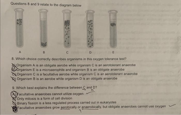 Solved Questions 8 and 9 relate to the diagram below 8. | Chegg.com