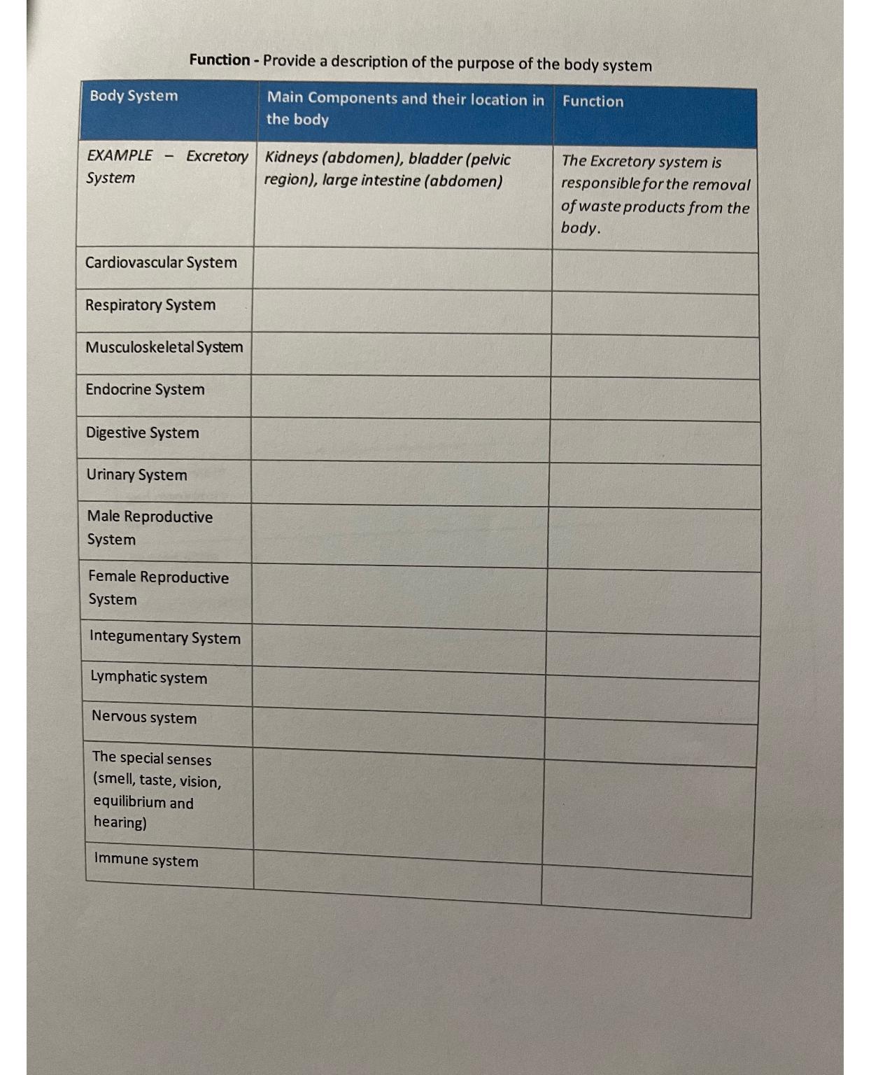 Solved Function - ﻿Provide a description of the purpose of | Chegg.com