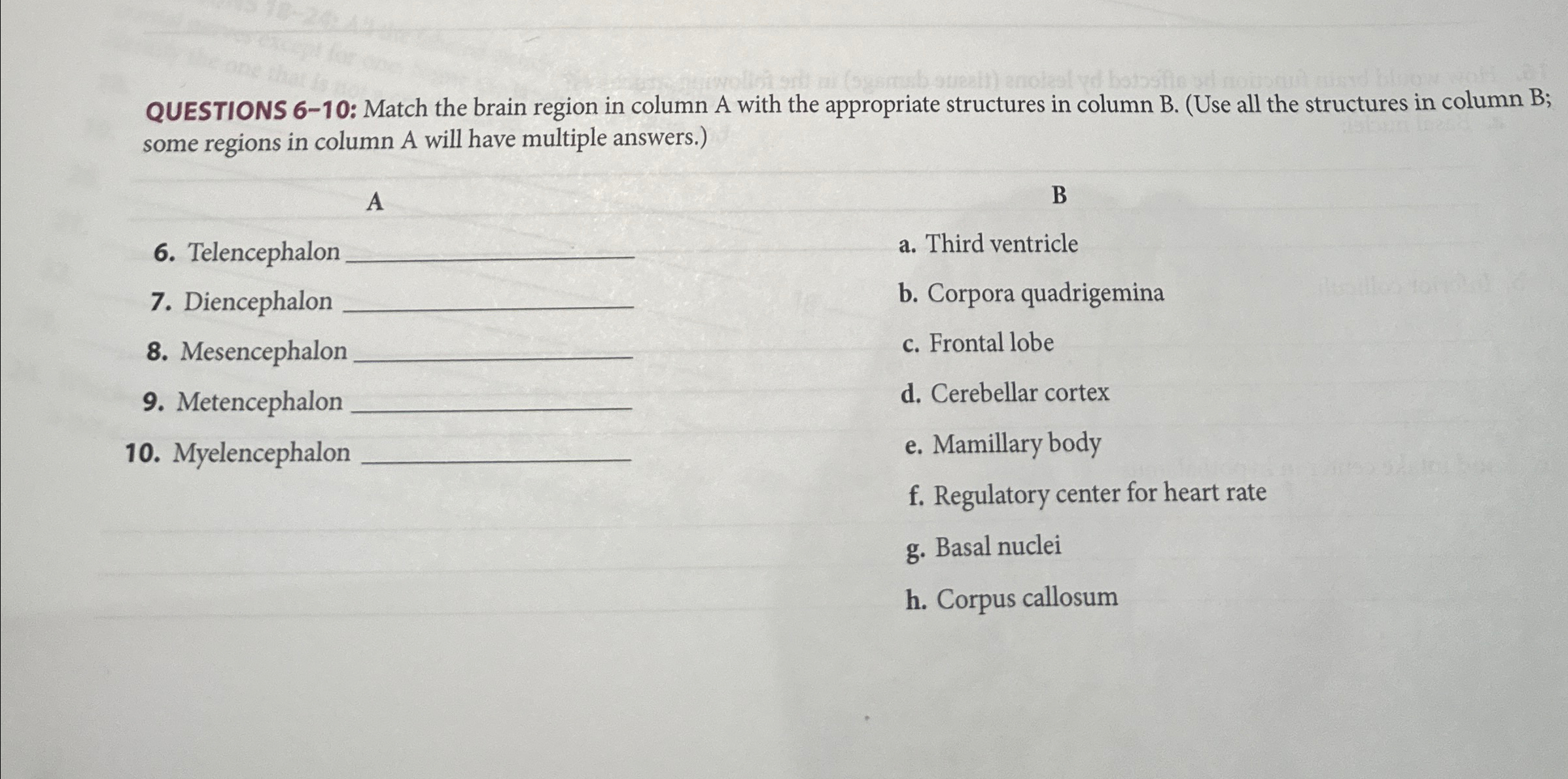 Solved QUESTIONS 6-10: Match the brain region in column A | Chegg.com