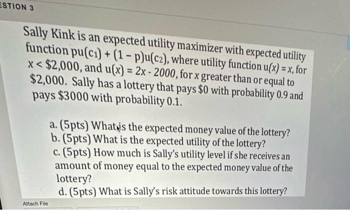 Solved Sally Kink is an expected utility maximizer with | Chegg.com