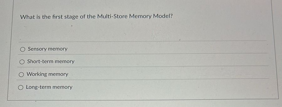 Solved What is the first stage of the Multi-Store Memory | Chegg.com