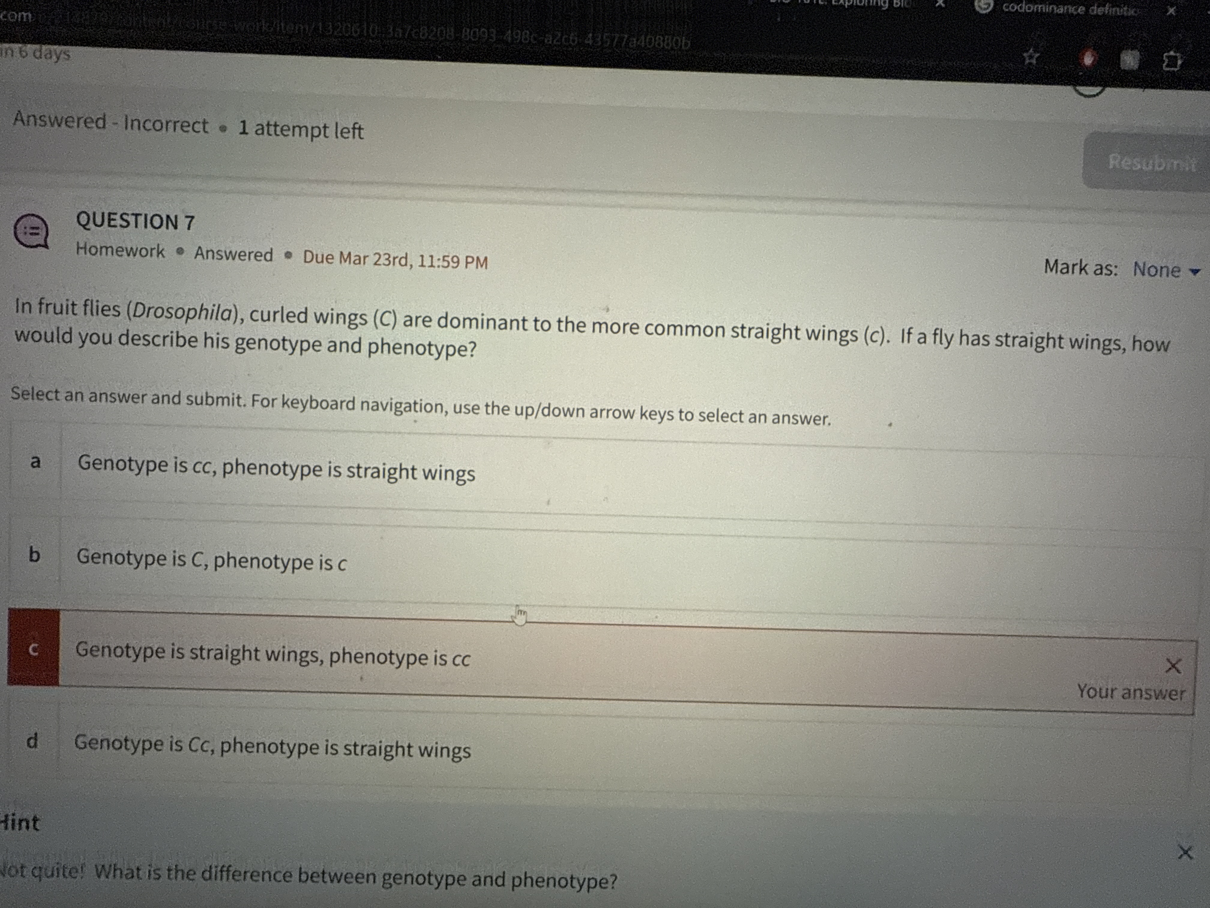 Solved In fruit flies (Drosophila), ﻿curled wings (C) ﻿are | Chegg.com