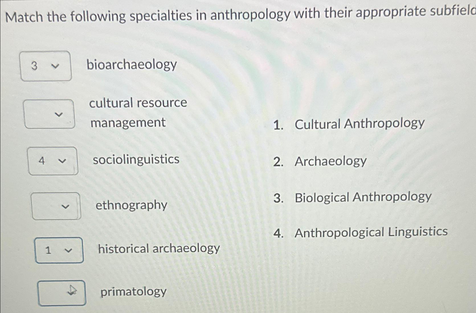 Solved Match the following specialties in anthropology with | Chegg.com
