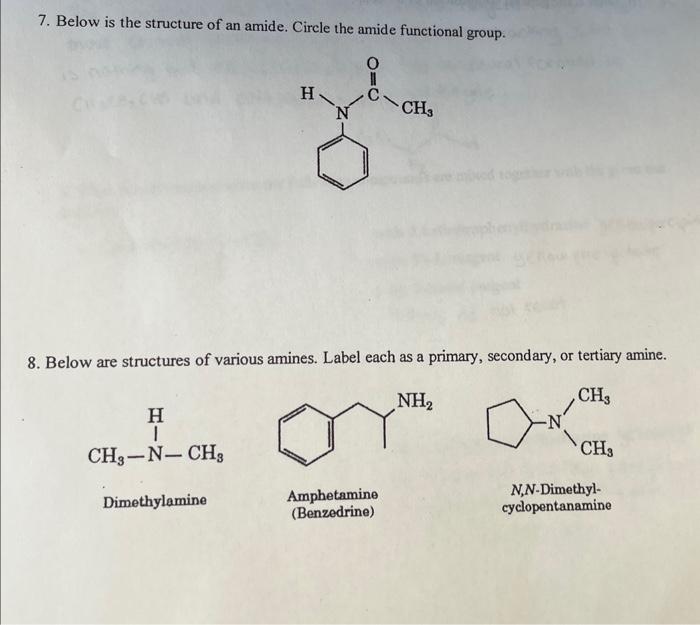 Solved 7. Below is the structure of an amide. Circle the | Chegg.com
