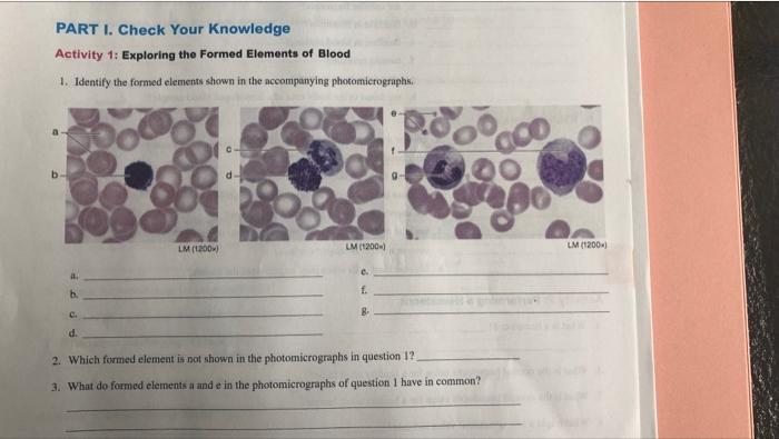 Solved PART I. Check Your Knowledge Activity 1: Exploring | Chegg.com