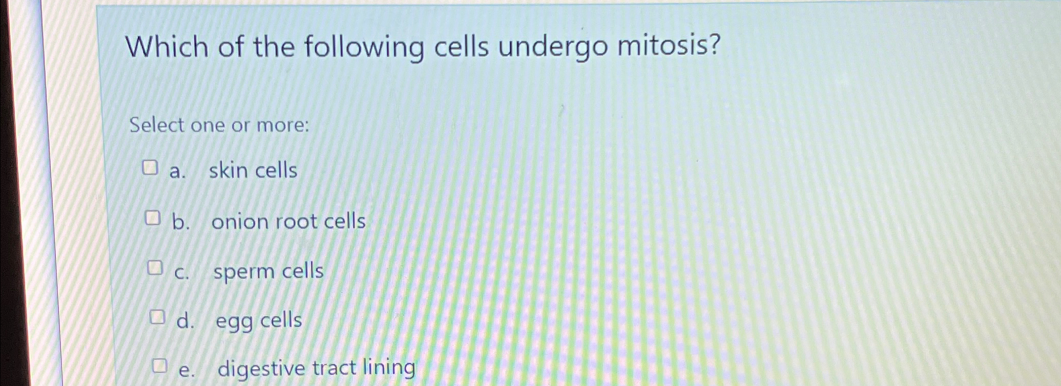 Solved Which of the following cells undergo mitosis?Select | Chegg.com