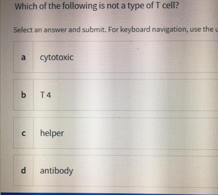 solved-which-of-the-following-is-not-a-type-of-t-cell-chegg