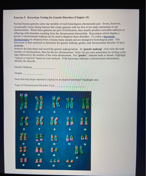 Solved Exercise 5: Karyotype Testing for Genetic Disorders | Chegg.com