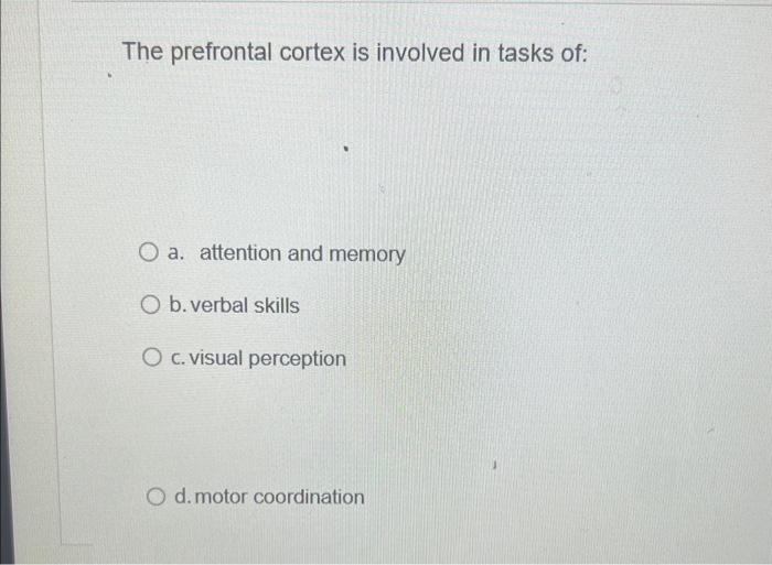Solved The prefrontal cortex is involved in tasks of: a. | Chegg.com