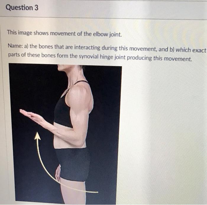 Solved Question 3 This image shows movement of the elbow | Chegg.com