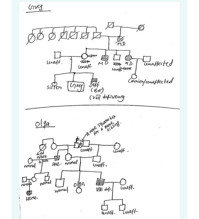 Solved Creg Part Iv Sex Linked Inheritance Alright Olga