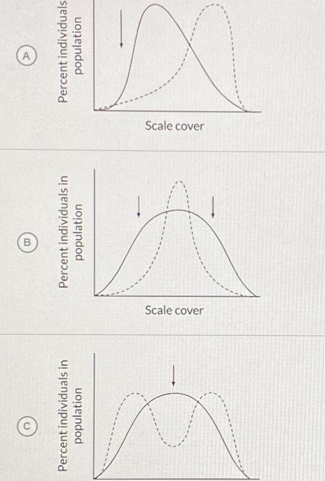 Solved Time point Partial scale cover (mirror) Intermediate | Chegg.com