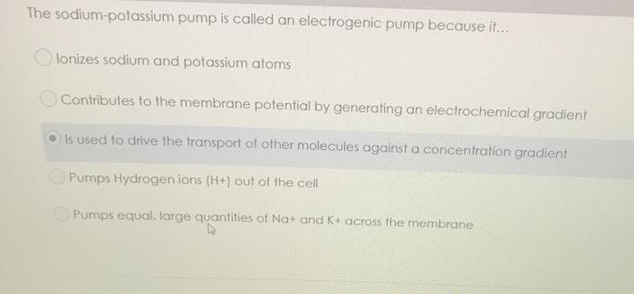 Solved The sodium-potassium pump is called an electrogenic | Chegg.com