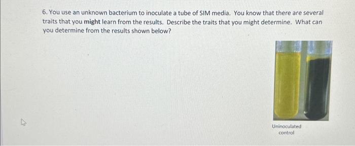 Solved 6. You use an unknown bacterium to inoculate a tube | Chegg.com