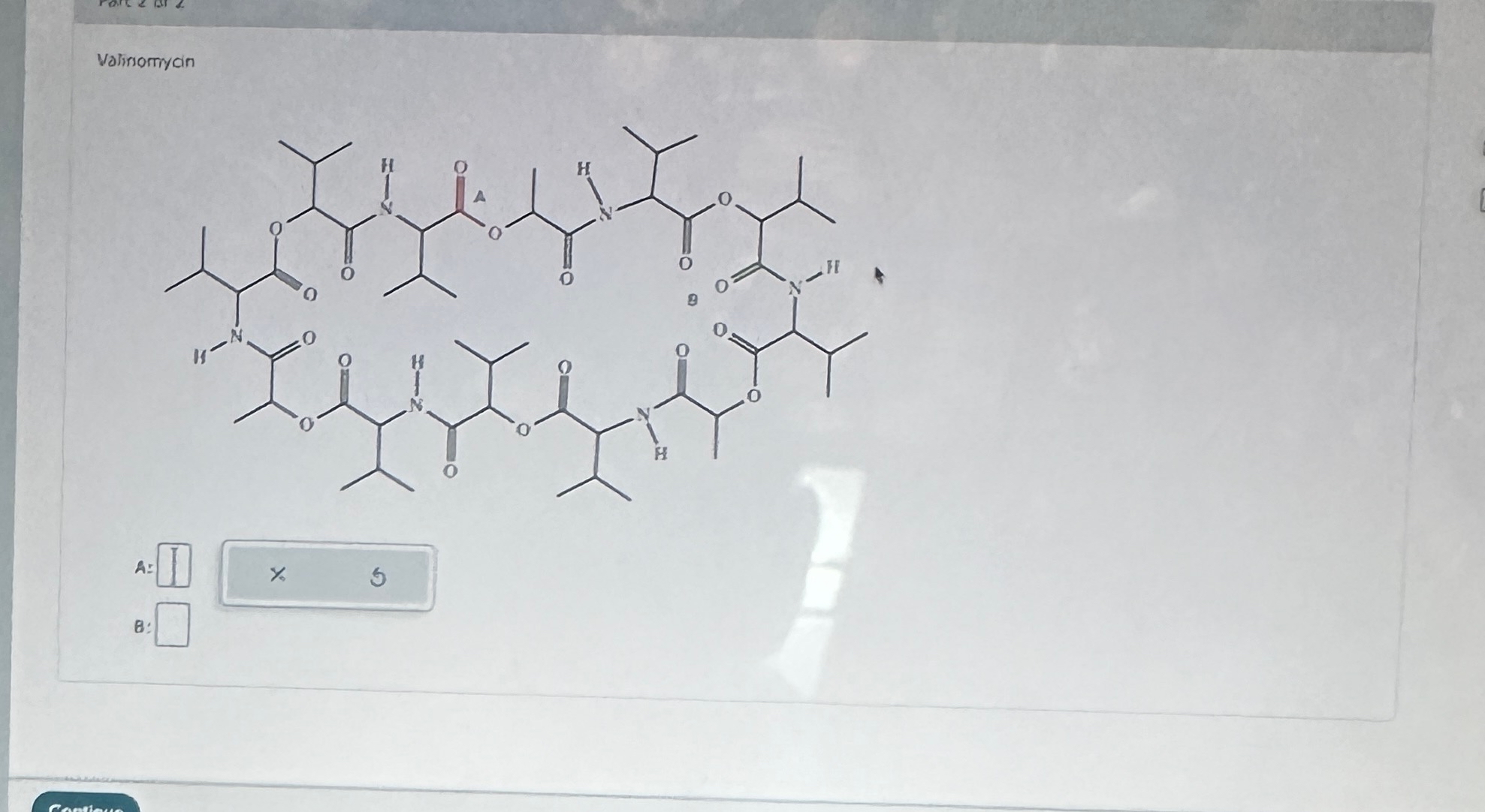 Solved wbat are the hughlighted functional groups | Chegg.com