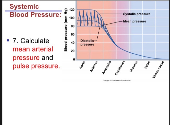 Solved Blood pressure gradients and flow rates (c) Flow | Chegg.com