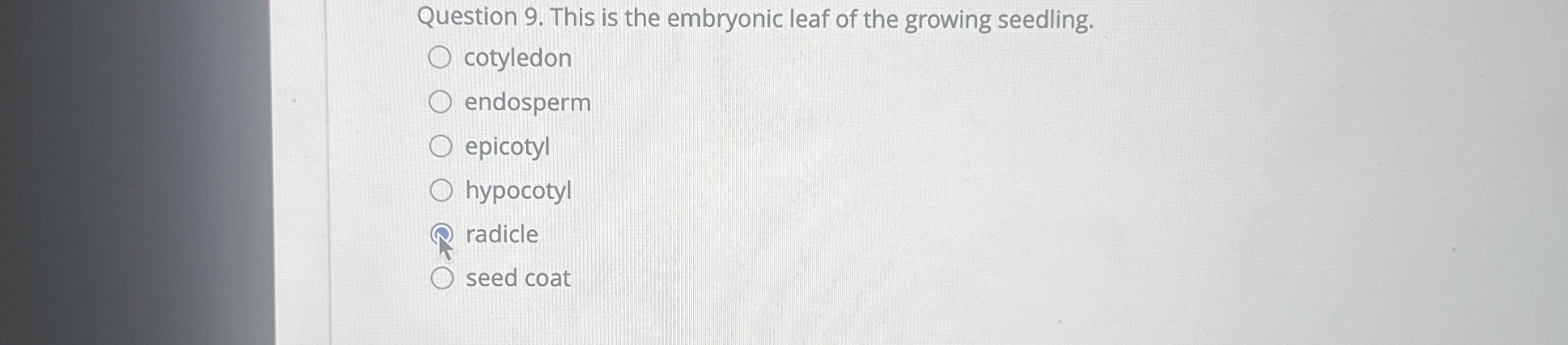 Solved Question 9. ﻿This is the embryonic leaf of the | Chegg.com