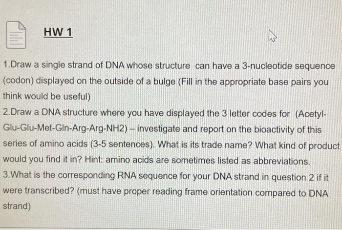 Solved HW 1 1.Draw a single strand of DNA whose structure | Chegg.com