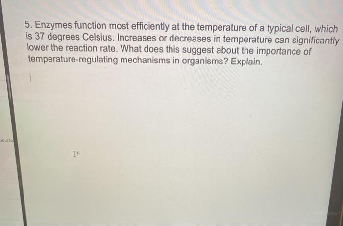 Solved 5. Enzymes function most efficiently at the | Chegg.com
