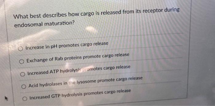 Solved What is the most likely functional reason actin | Chegg.com