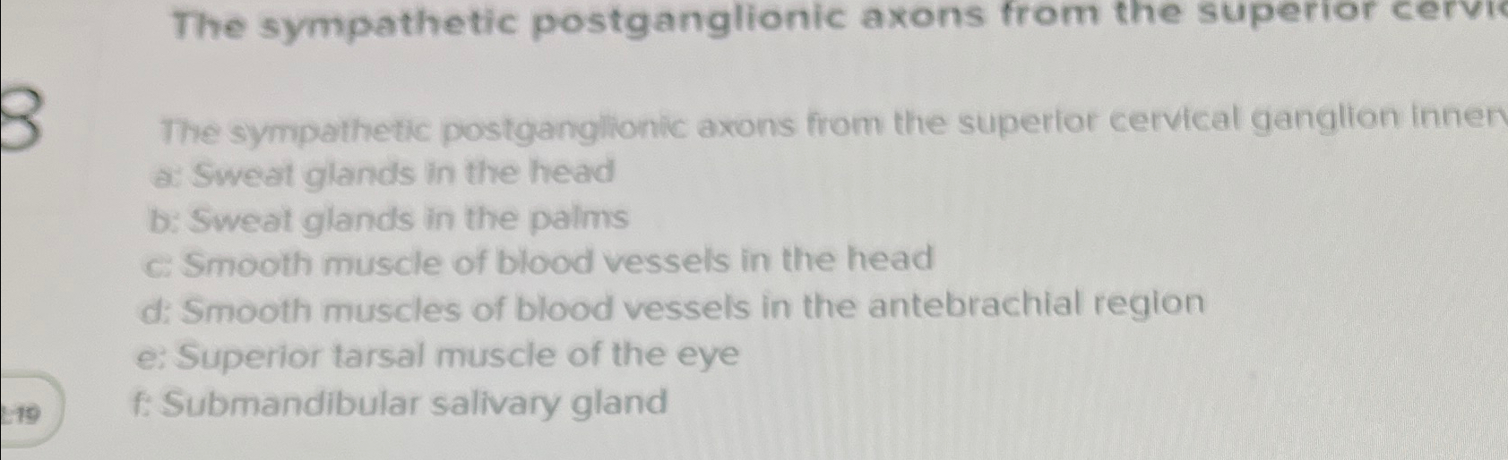 Solved The sympathetic postganglionic axons from the sThe | Chegg.com