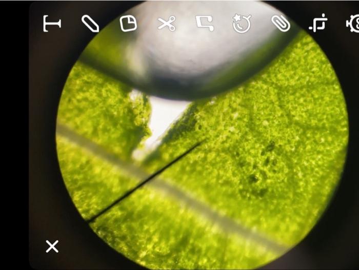 draw this in a circle in 400x fovstipple shaded areas | Chegg.com