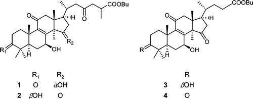 what is alpha OH and beta OH indicate in | Chegg.com