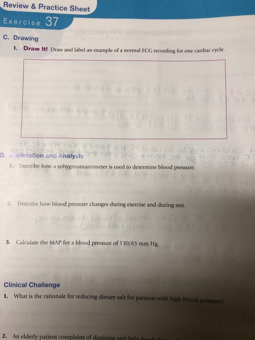 Solved Review & Practice Sheet Exercise 37 C. Drawing 1. | Chegg.com