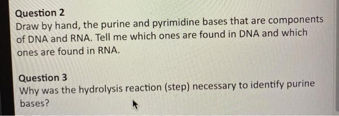Solved Question 2 Draw by hand, the purine and pyrimidine | Chegg.com