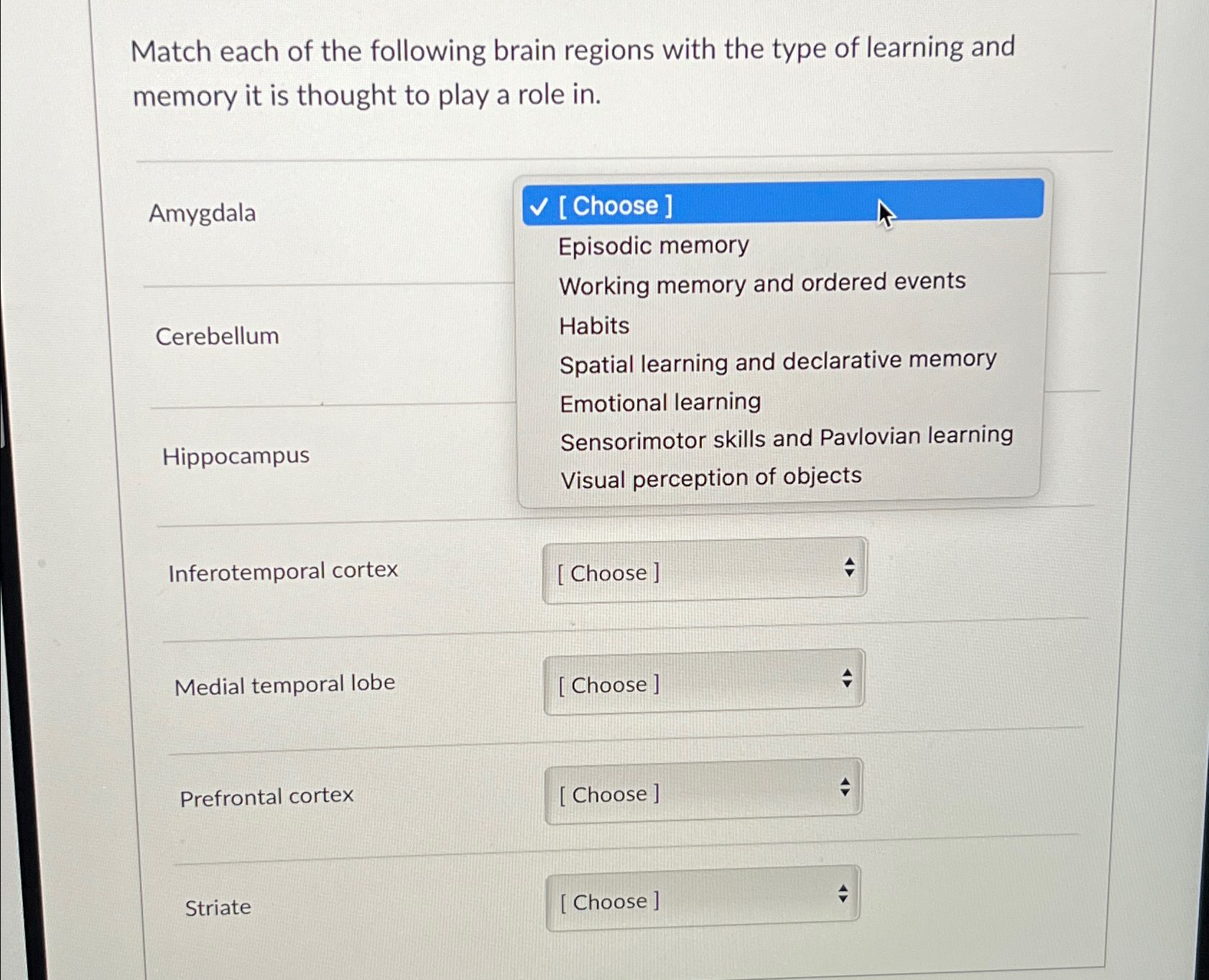Solved Match each of the following brain regions with the | Chegg.com