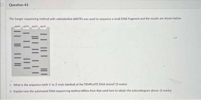 Solved The Sanger sequencing method with radiolabelled | Chegg.com