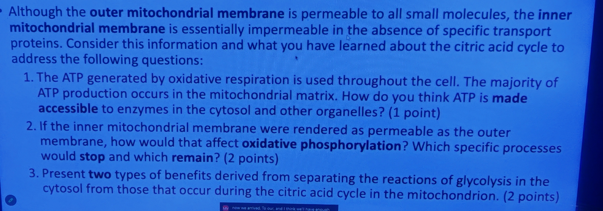 Solved Although the outer mitochondrial membrane is | Chegg.com