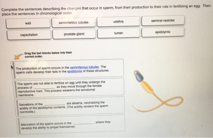 Solved Complete the sentences describing the changes that | Chegg.com