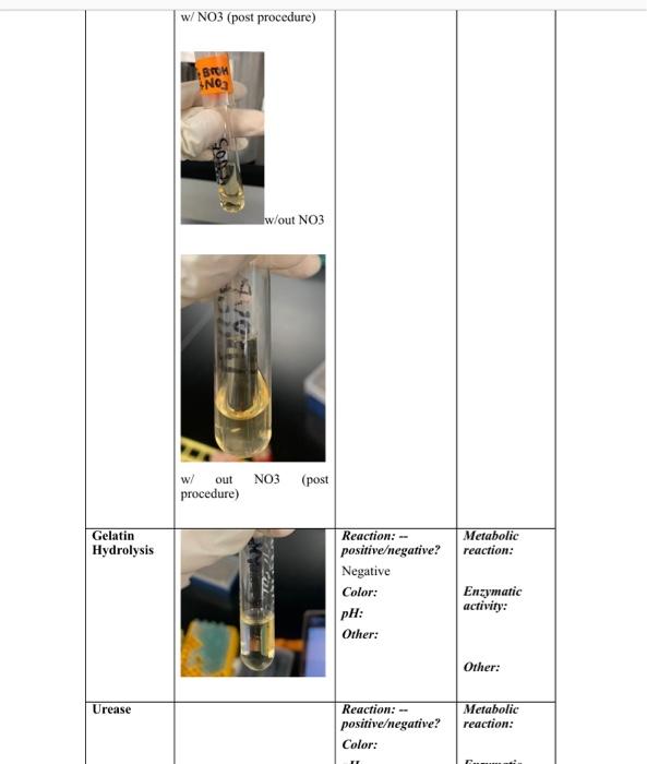 Solved URGENT!!! please help me to the best of your ability | Chegg.com