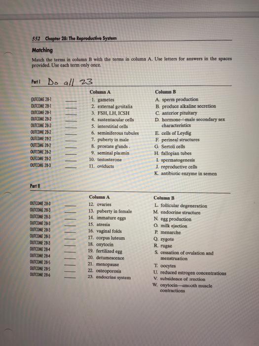 Solved 552 Chapter 28: The Reproductive System Matching | Chegg.com